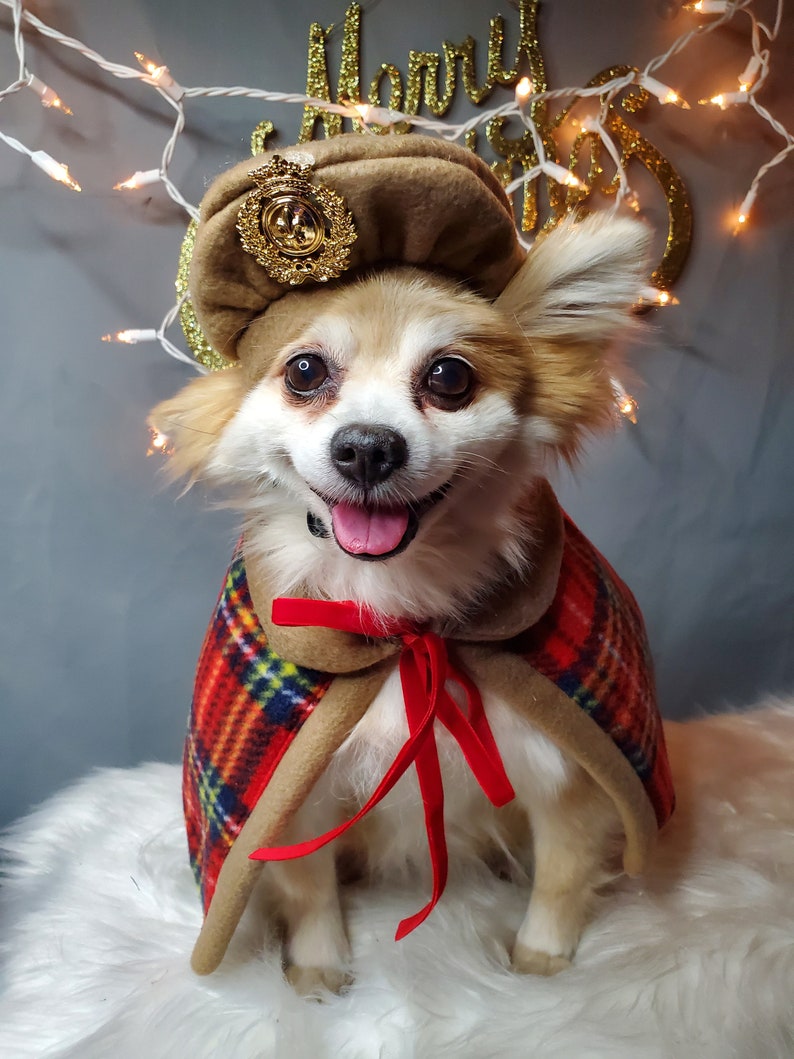 Set 2 Piece Beret and Cape Cover for Dog Cat or Small Animal / | Etsy