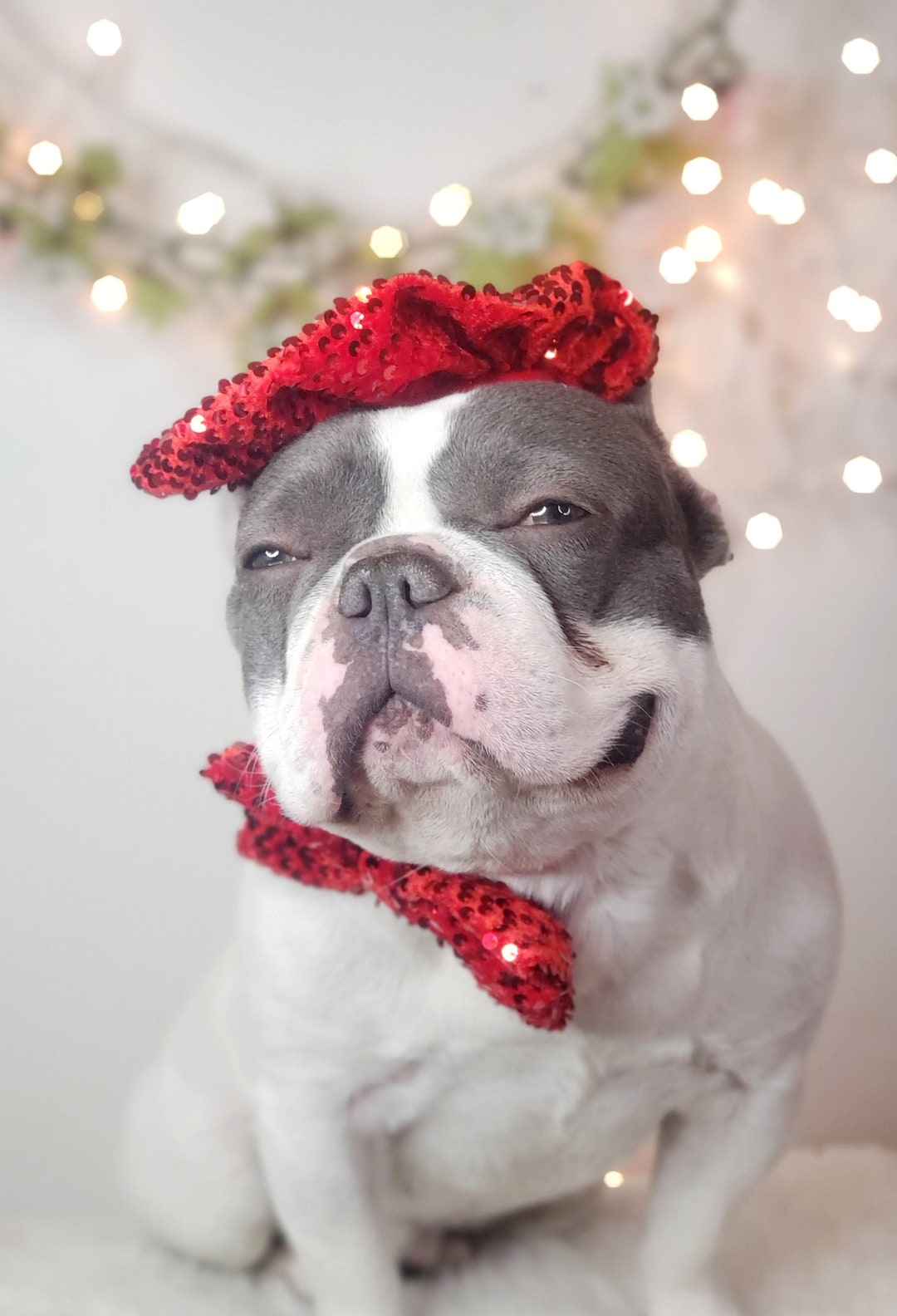 Set Listing /beret Hat for Dog or Cat /hat for Dogs/beret for Dogs / - Etsy