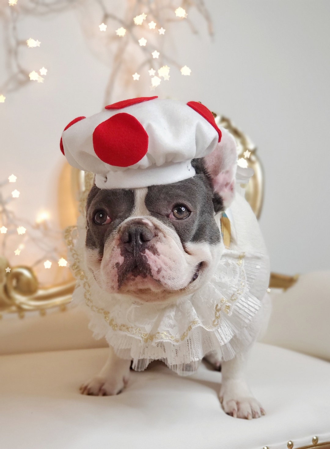 Supper Mario Mushroom Hat for Pets / Dog Costume/halloween Dog and Cat ...