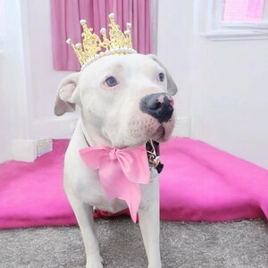 Gold Dog Crown With Bow Tie, Elegant Puppy Accessory - Etsy