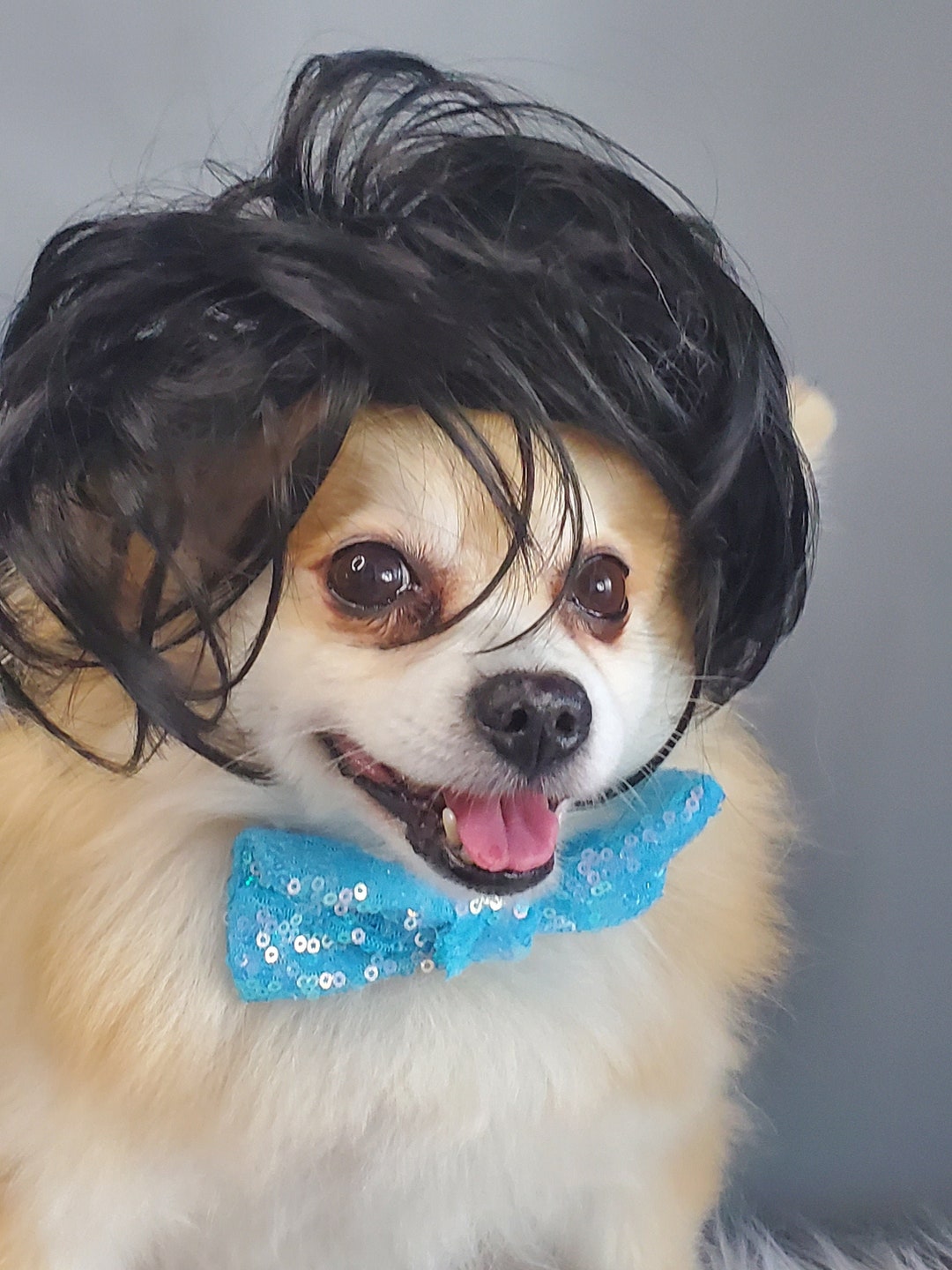 Black Pet Wig for Dog or Cat Costume - Etsy