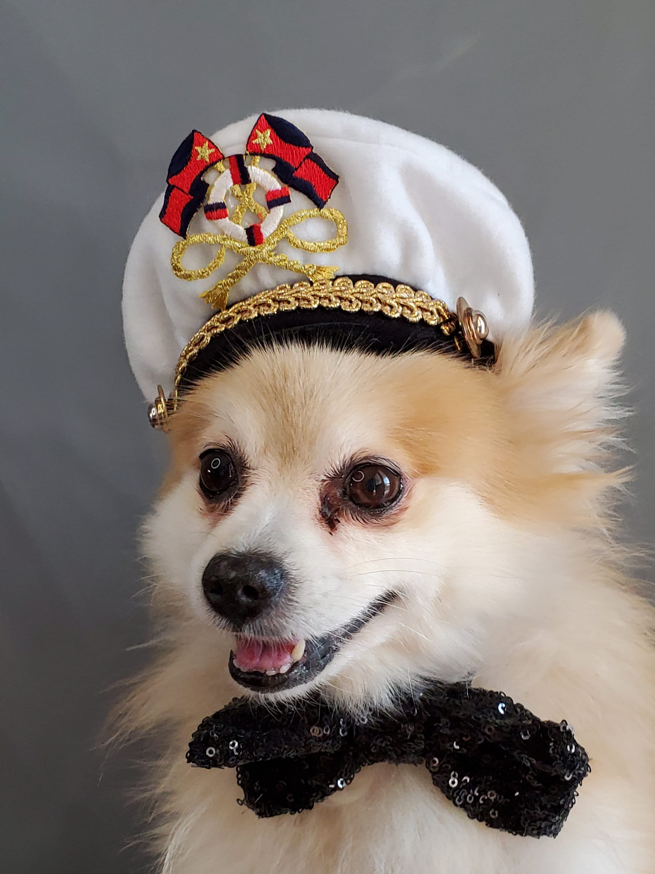 Captain Hat for Dog or Cat Small Animal Doll /halloween Pet | Etsy