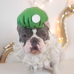 Mushroom Pet Hat, Super Mario Dog Costume, Adjustable Fit - Etsy
