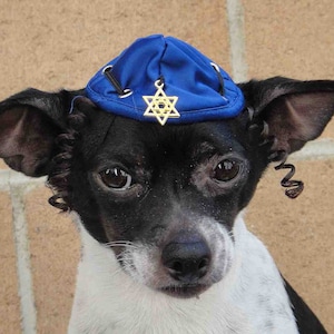Handmade Hanukkah Pet Hat With Star – Dog Kippah Yarmulke - Etsy