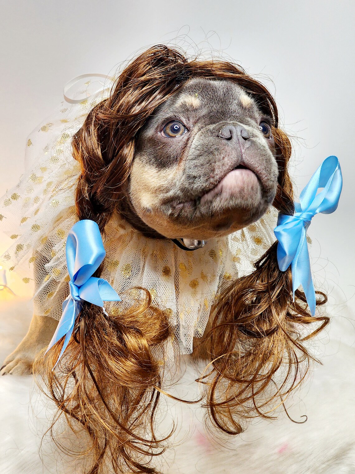 Wizard of Oz Dorothy Dog Wig, Brown Costume Wig - Etsy