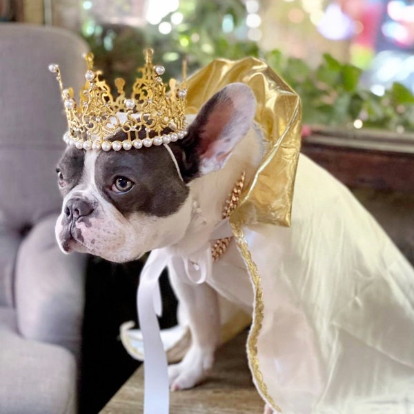 Princess Dog Bed - Etsy