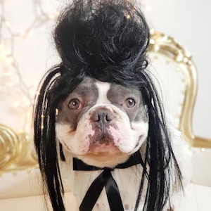 Elvira Dog Wig, Black Halloween Costume Wig - Etsy