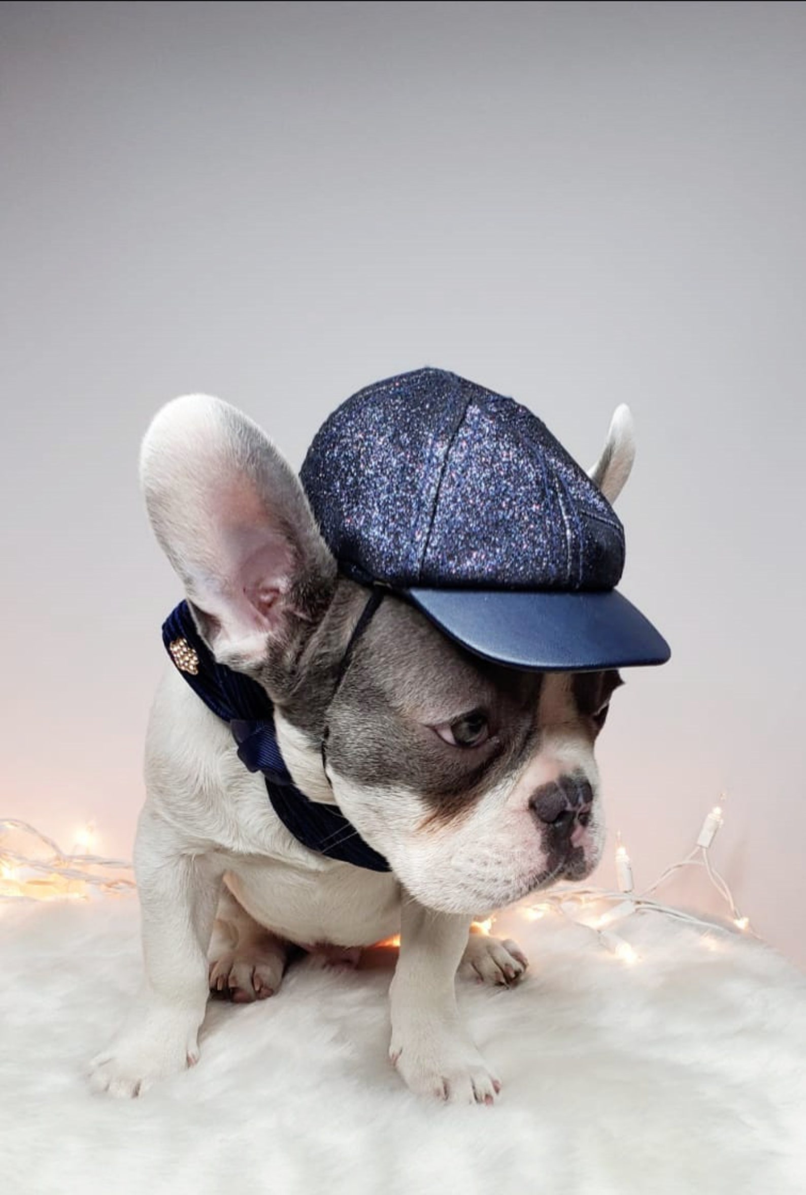 Cap for You Pet/ Cute Hat Navy Color for Dog or Cat Small - Etsy