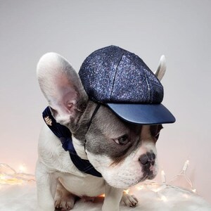 Cap for You Pet/ Cute Hat Navy Color for Dog or Cat Small Animal - Etsy