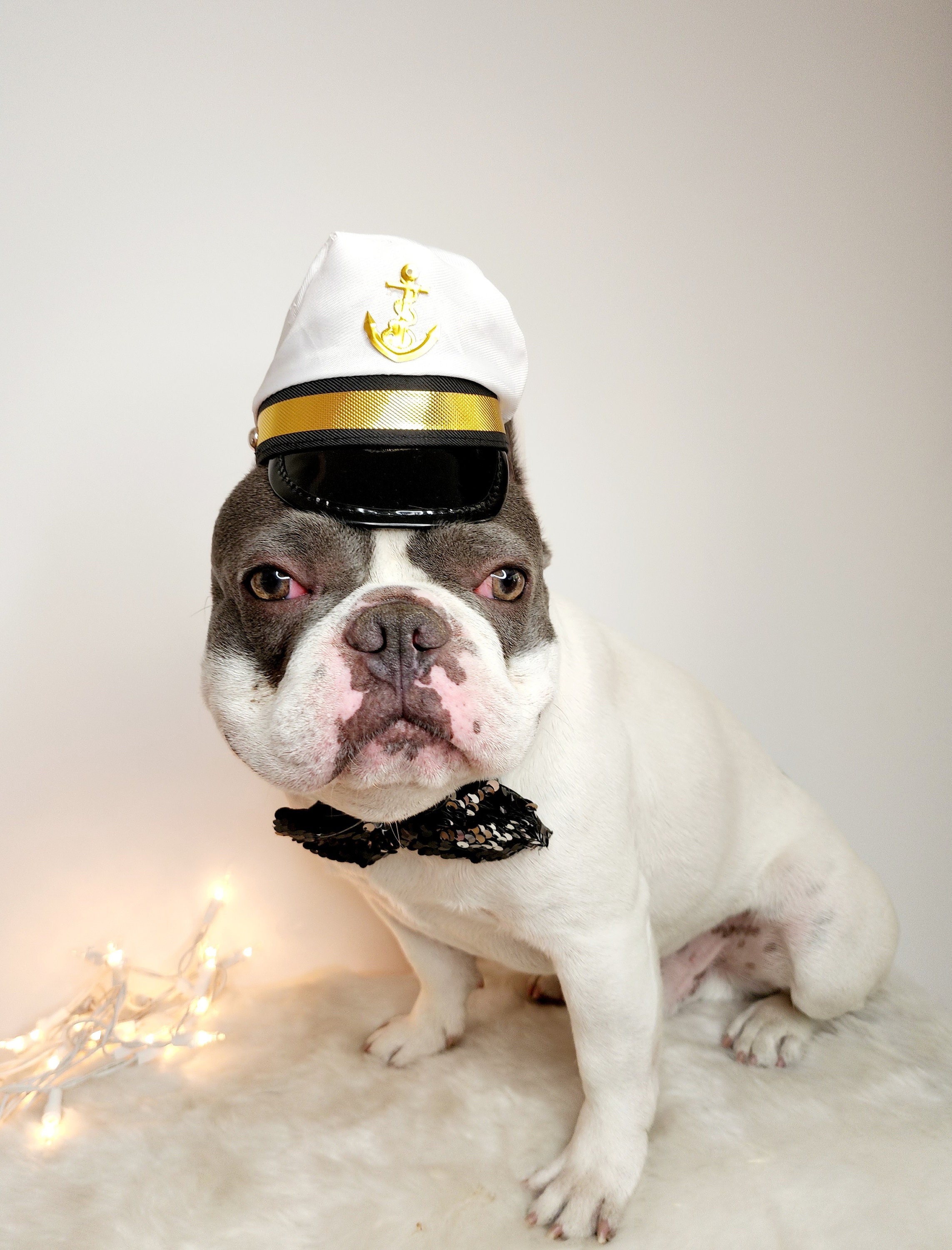 Captain Hat for Dog or Cat Small Animal Doll /halloween Pet - Etsy