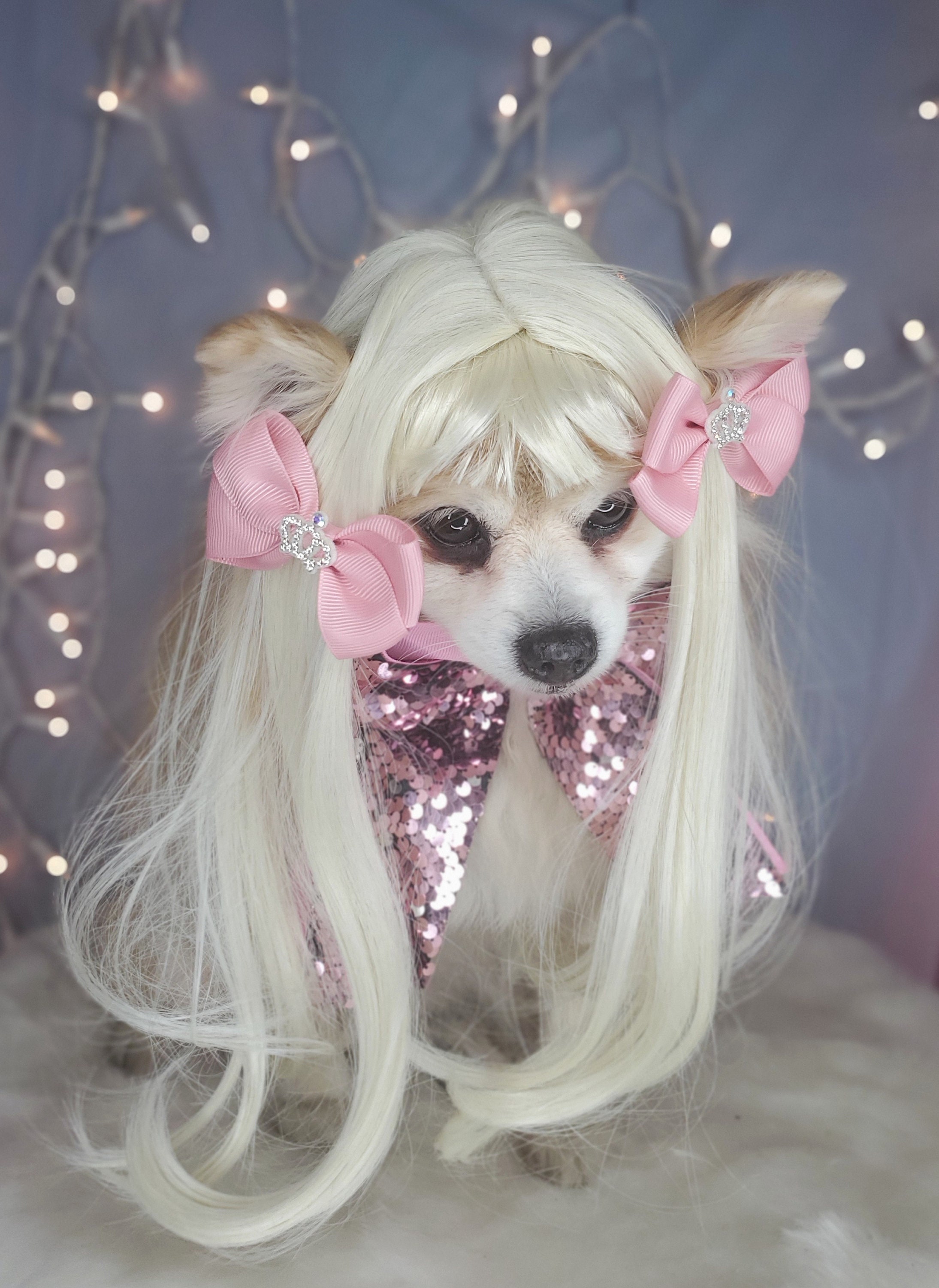 Blond Pet Wig With Pink Bows – Dog or Cat Costume - Etsy