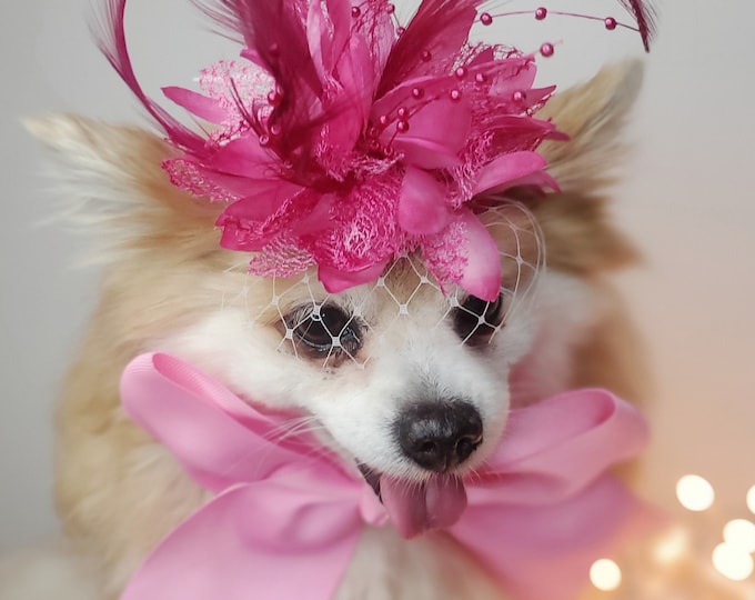 Dog Fascinator- Kentucky Derby Hat- Dog Derby Hat- Dog Feather ...