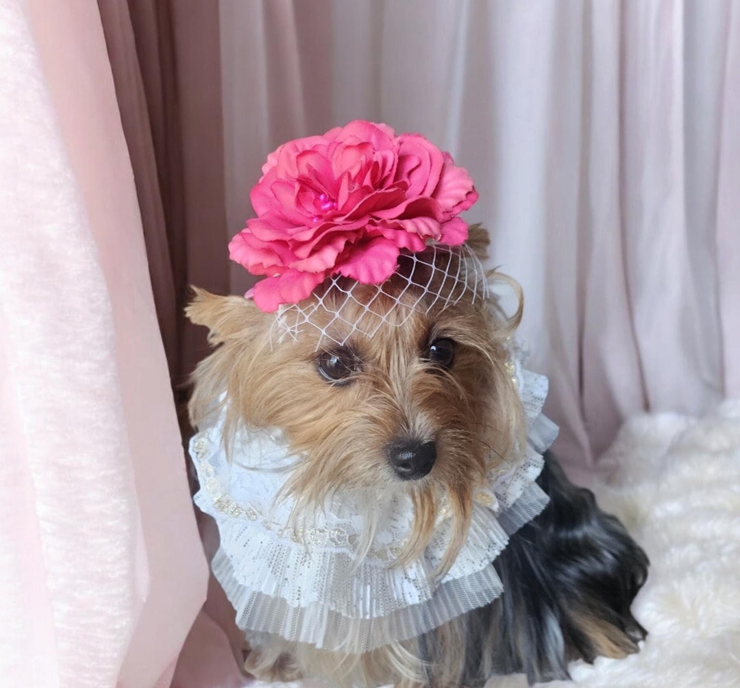 Dog Costume/elegant Hat With Flower for Dog or Cat /hat for Small Pet ...