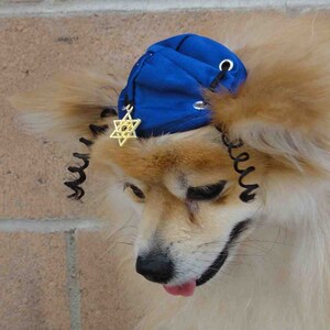 Hanukkah Dog Kippah With Star, Pet Costume Hat - Etsy
