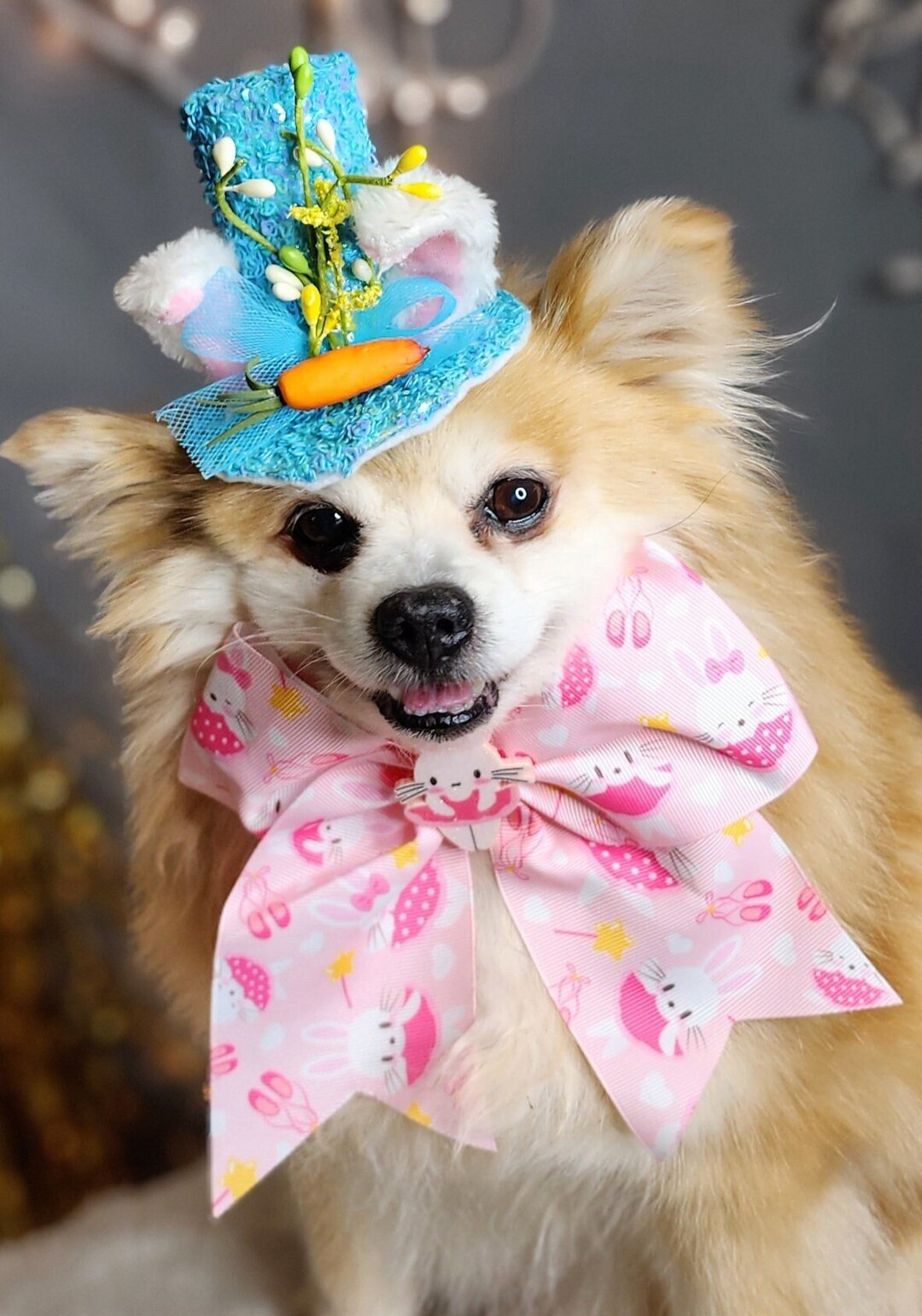 Set for Your Pet Easter Bunny Hat and Bow Set for Dog or Cat - Etsy