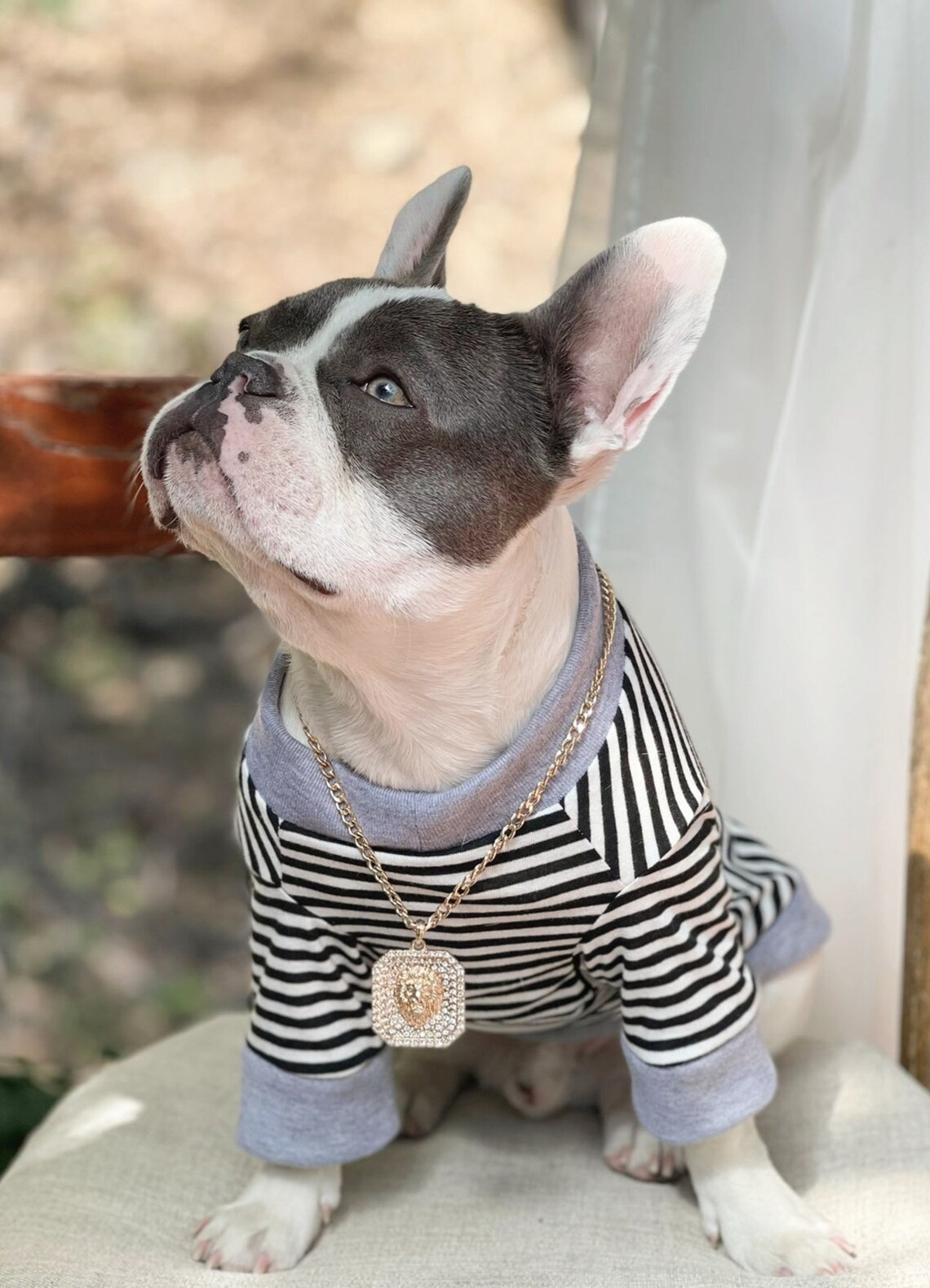 Supper cute dog neck chain gold color/ Jewelry for pet | Etsy