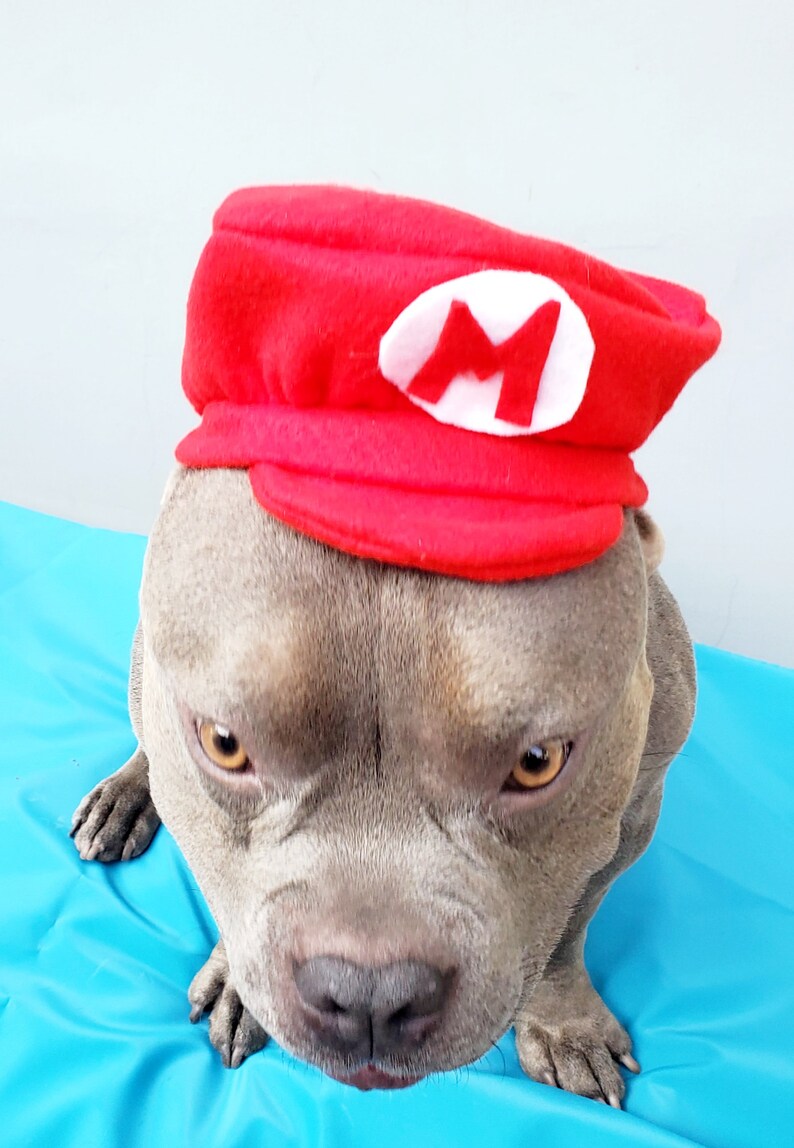 Super Mario Dog Costume Hat, Red Pet Halloween Costume - Etsy