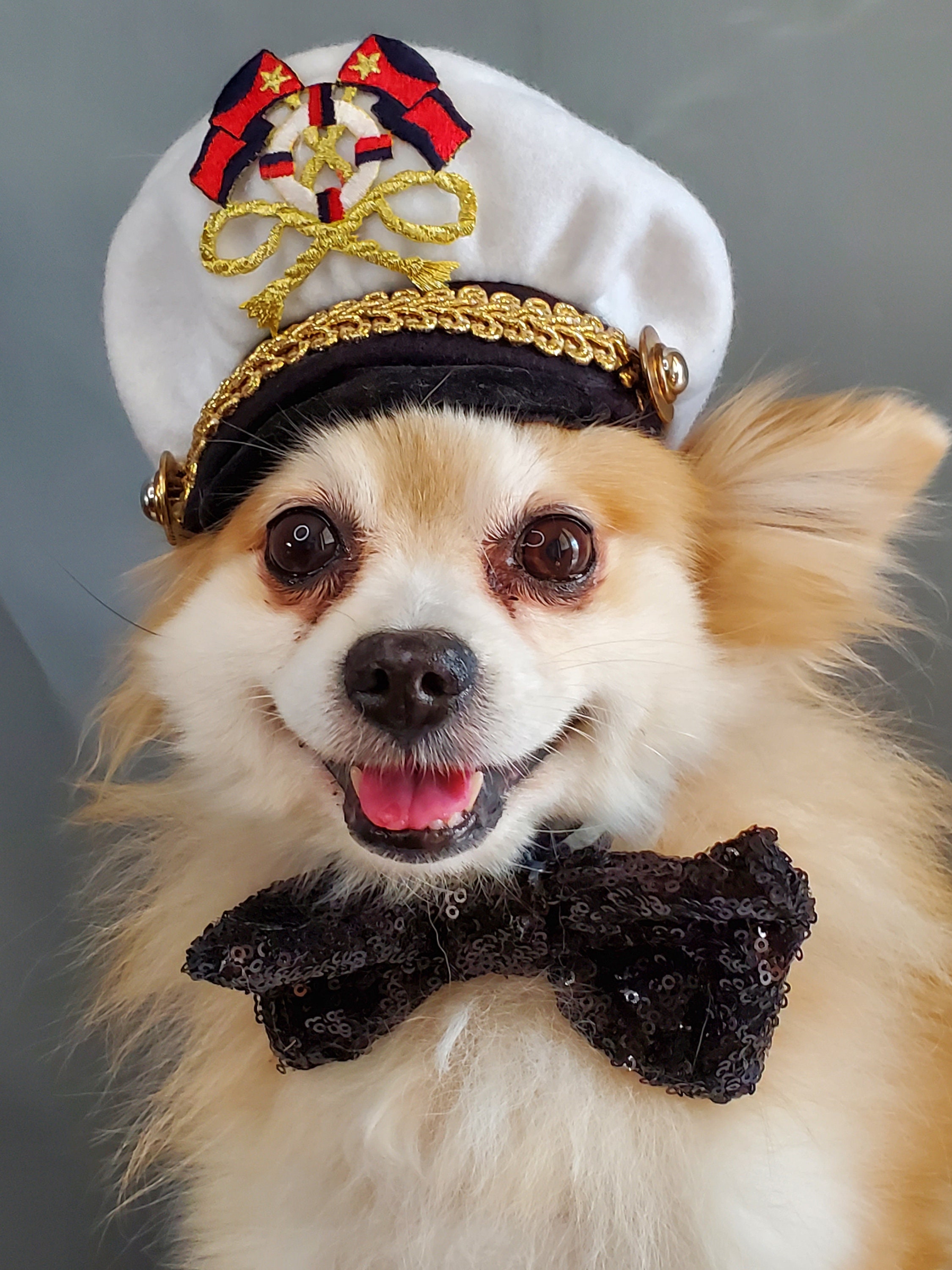 Captain Hat for Dog or Cat Small Animal Doll /halloween Pet | Etsy