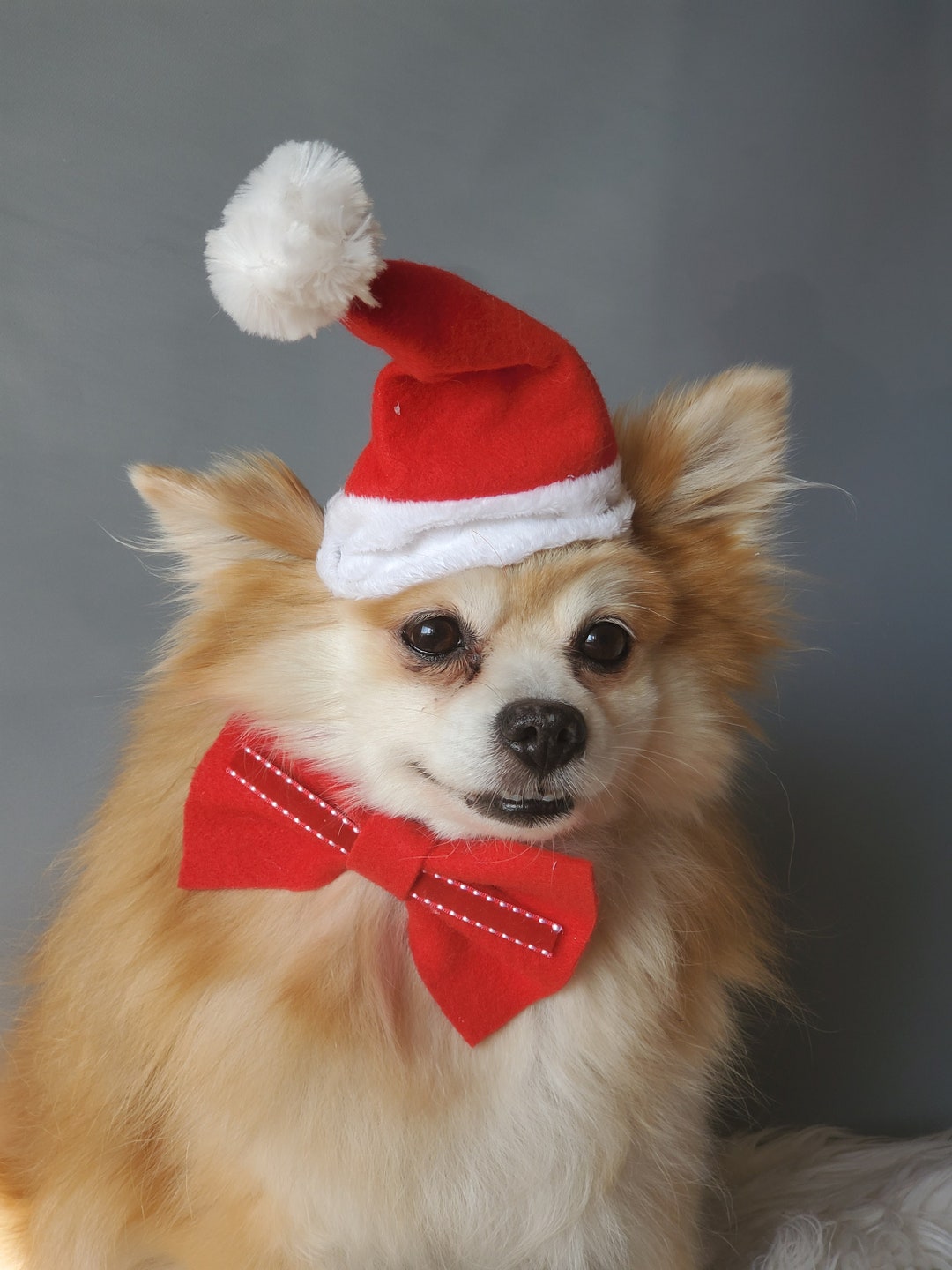 Set Listing Hat and Bowtie /christmas Santa Hat for Dog or Cat ...