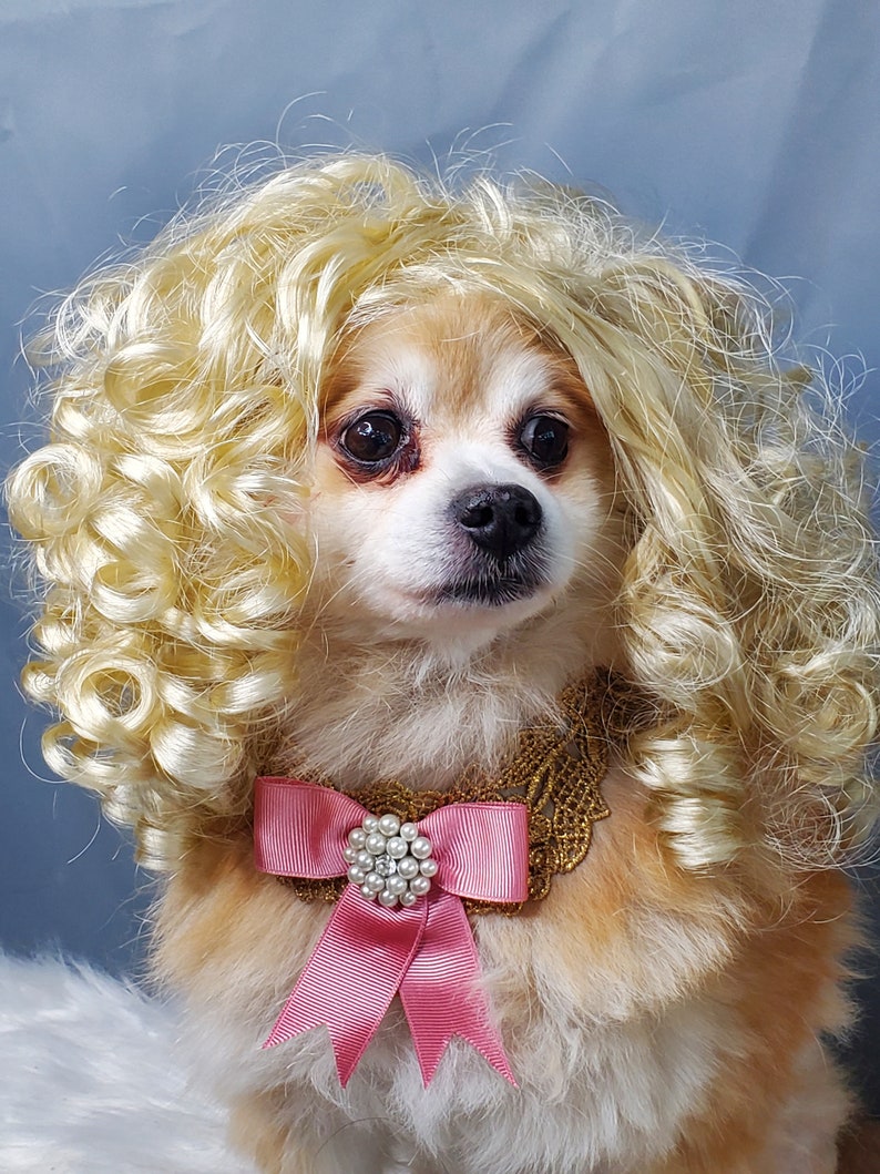 Pet Wig Blond Color for Dog or Cat/halloween Dog Wig - Etsy