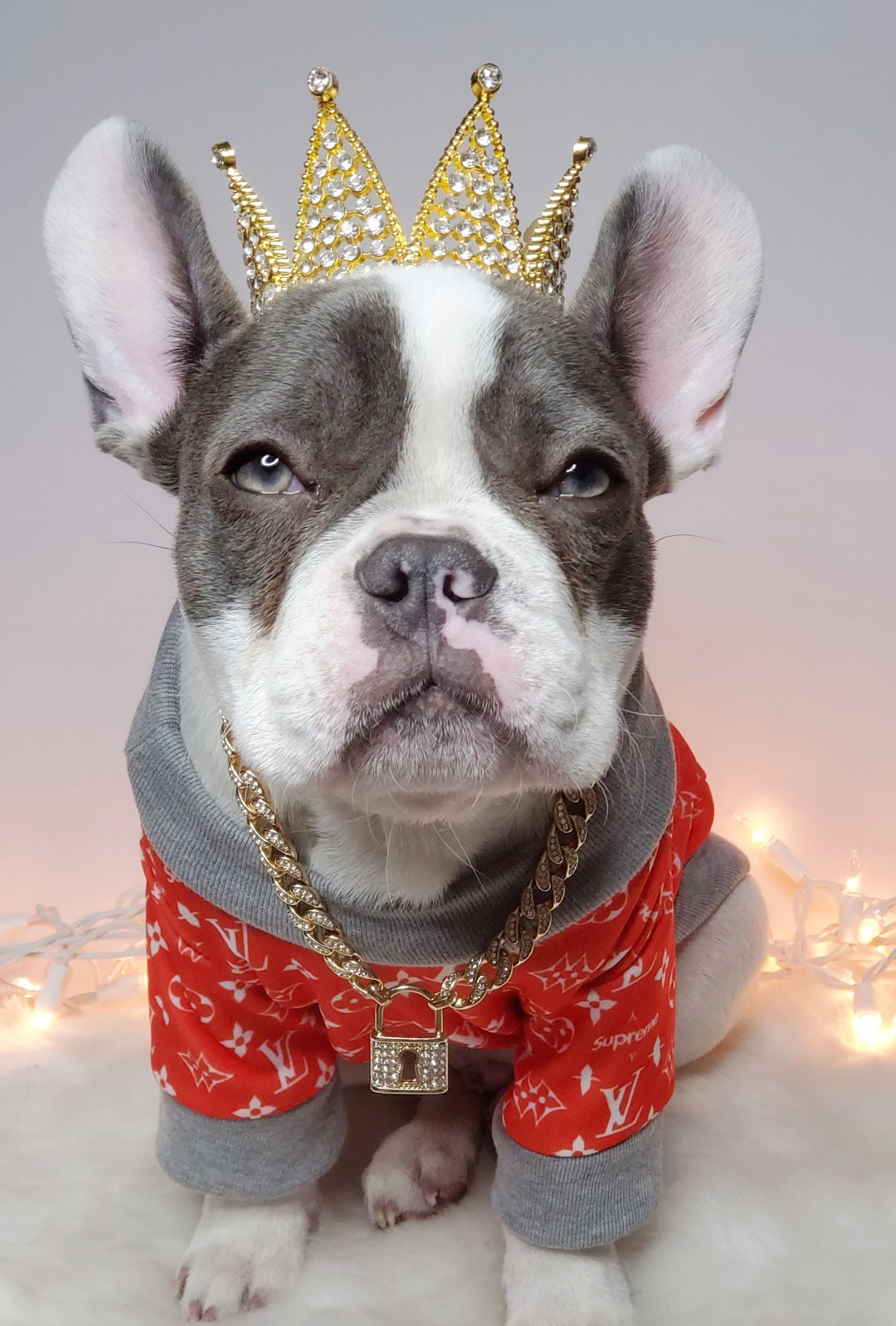 Crown for Dog or Cat /princess Dog Crown / Crown for Dog /princess ...