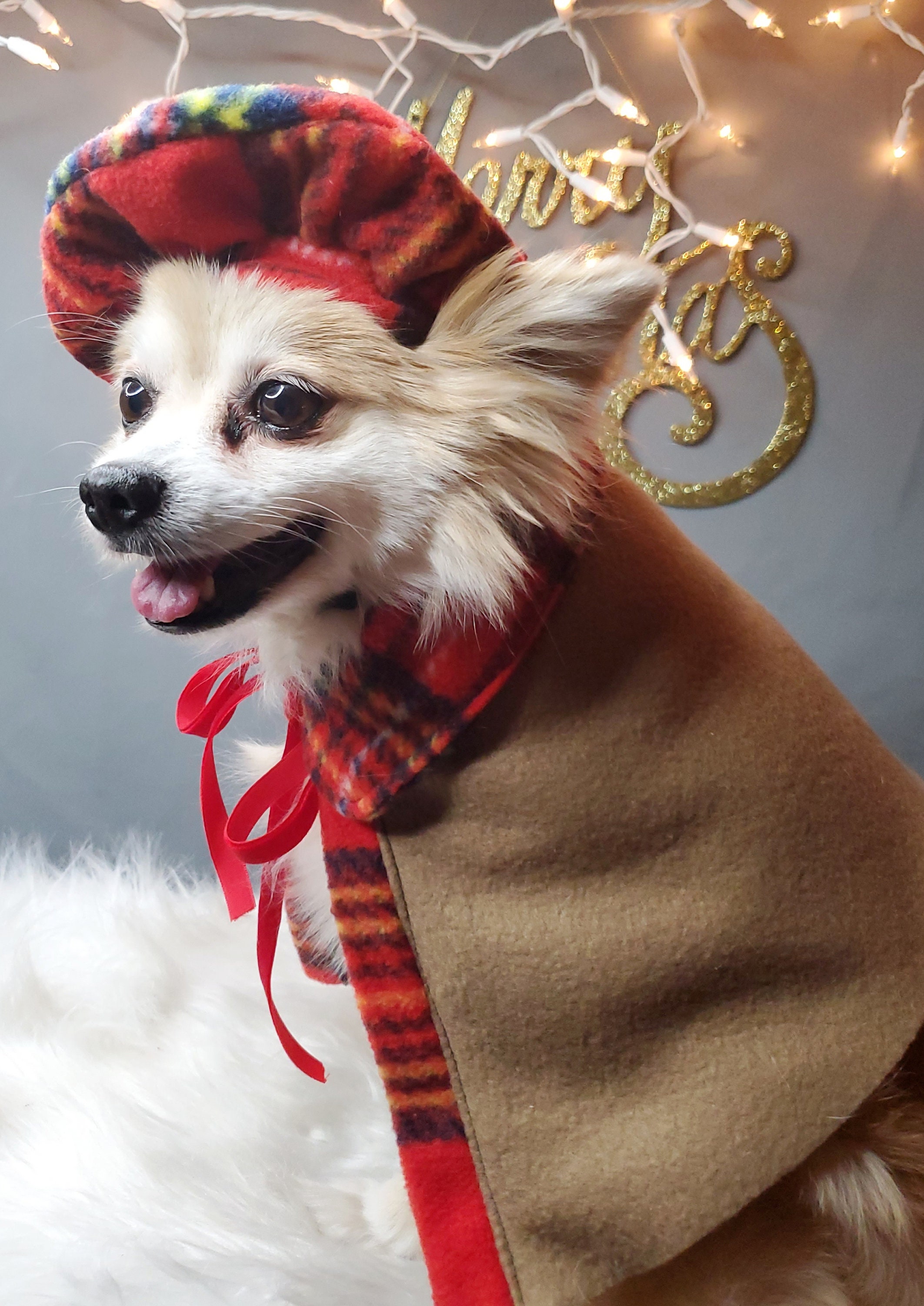 Set 2 piece Beret and Cape cover for dog cat or small animal | Etsy