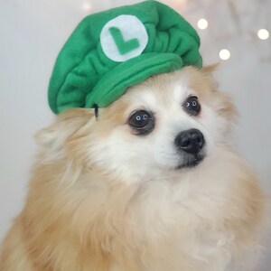 Supper Wario, Waluigi, Fire Mario , Mario ,luigi / Dog Costume ...