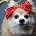 Christmas Red Bow // Dog Halloween Bow // Costume Dog Neck Tie Pet Bow ...