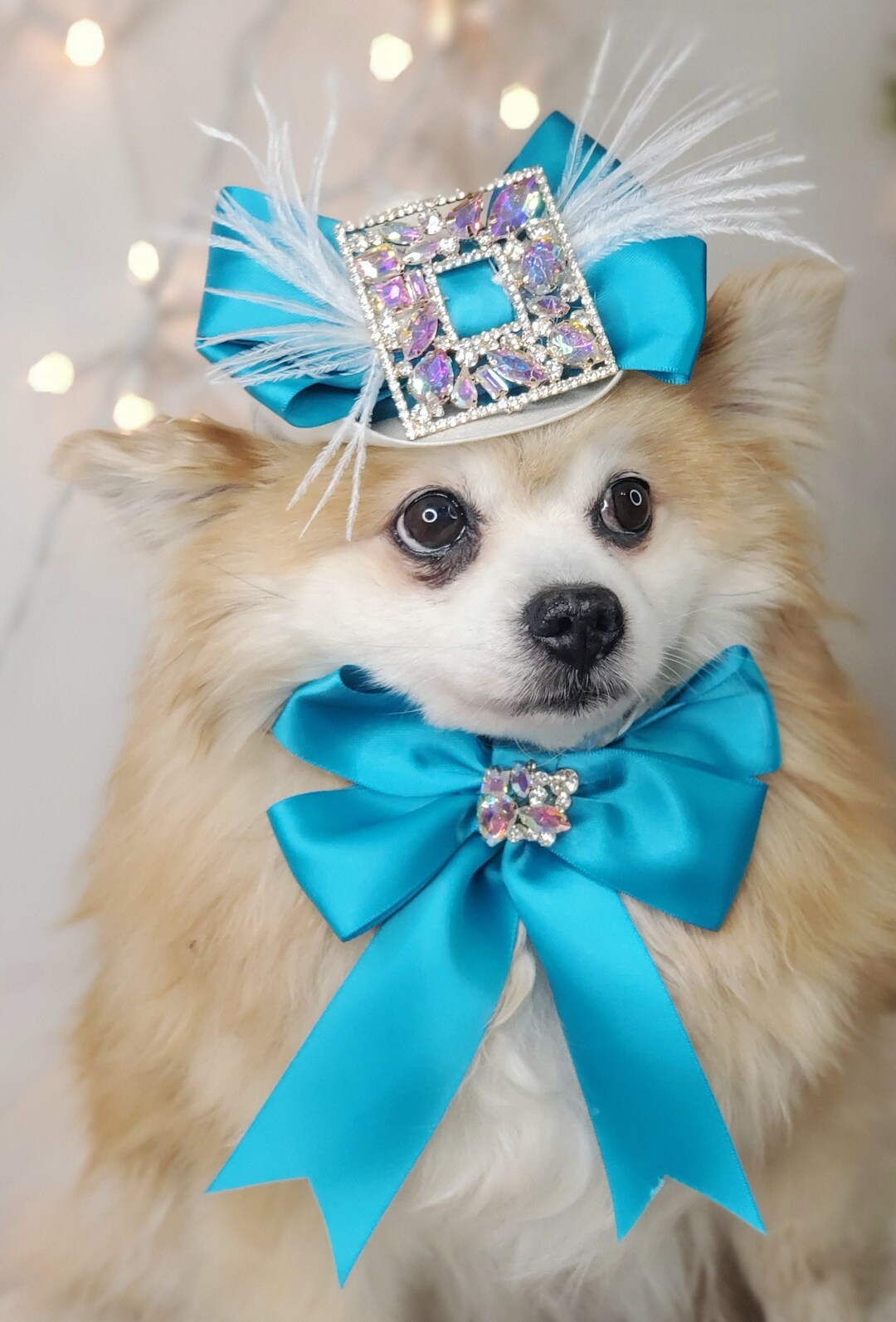 Elegant Feathered Pet Hat With Bow, XS-M Dog or Cat Costume - Etsy