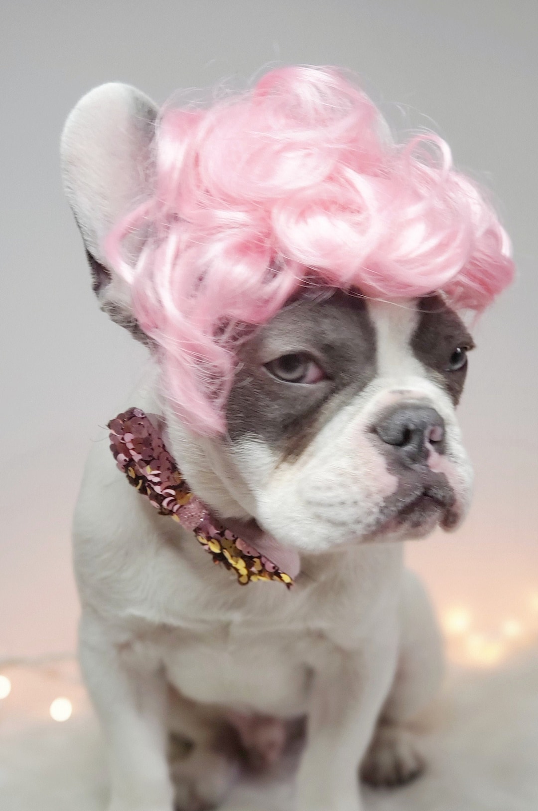Pink Pet Wig for Dog or Cat, Halloween Costume - Etsy