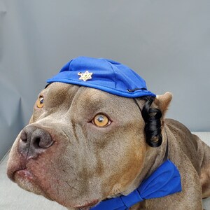 Hanukkah Dog Kippah and Bow Tie, Big Dog Hat With Star - Etsy