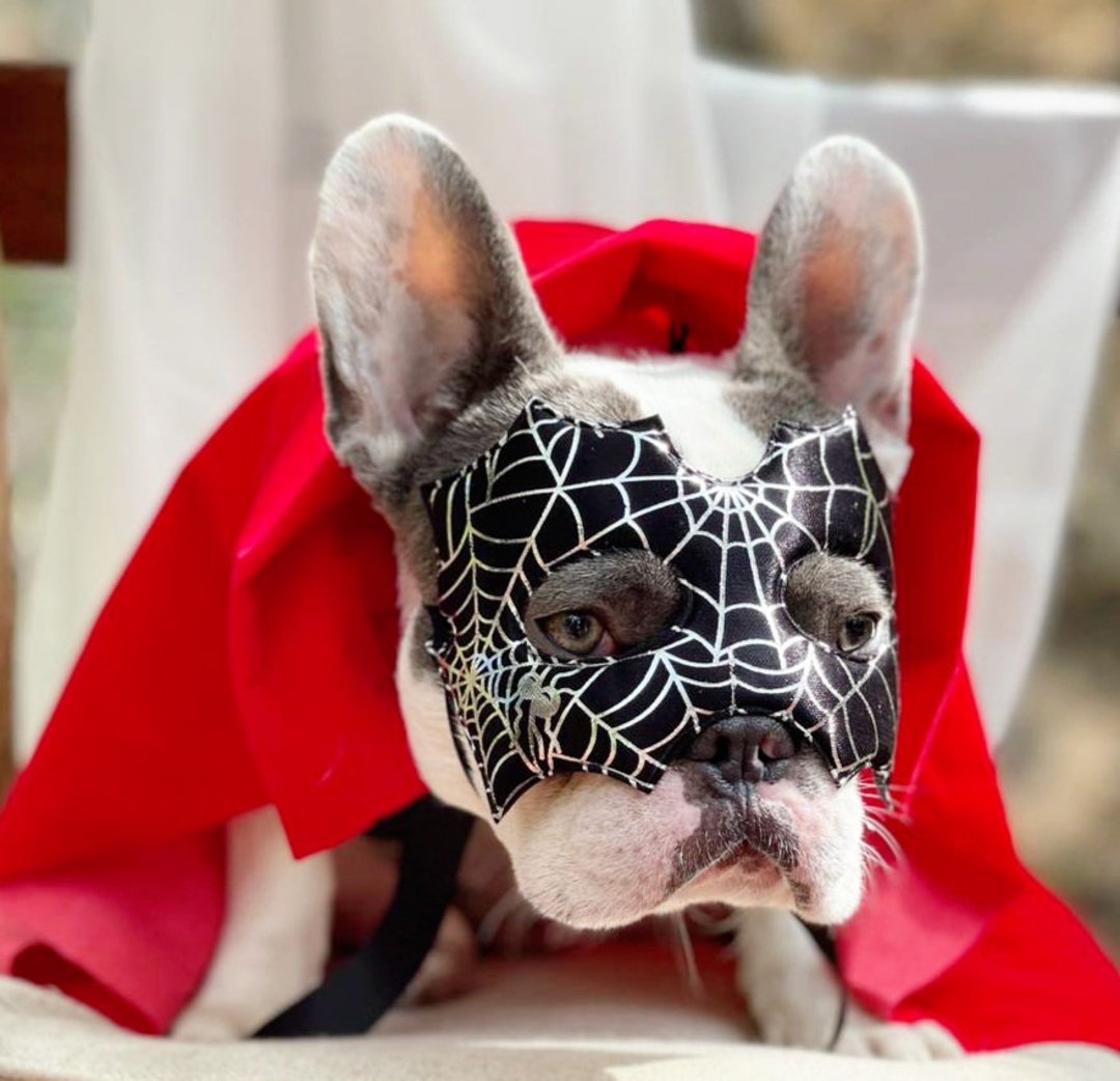 Dog Halloween Costume: Spiderweb Mask and Cape (small/medium) - Etsy