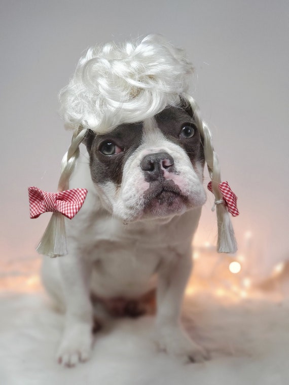 Cute Pet Wig /wig for Dog or Cat / Halloween Dog Wig / Costume | Etsy