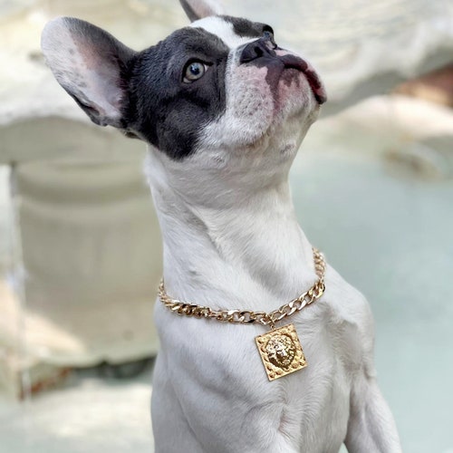 Supper Cute Dog Neck Chain Gold Color /dog Neck Collar/ - Etsy