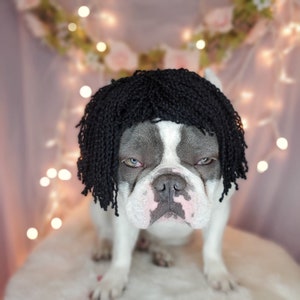 Black Pet Wig | Adjustable Costume Wig for Dogs & Cats - Etsy
