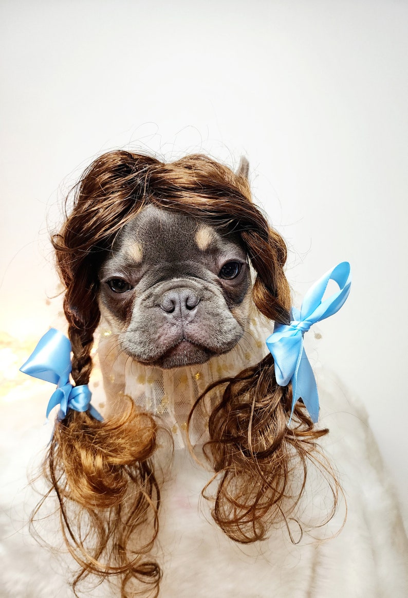 Wizard of Oz Dorothy Dog Wig, Brown Costume Wig - Etsy