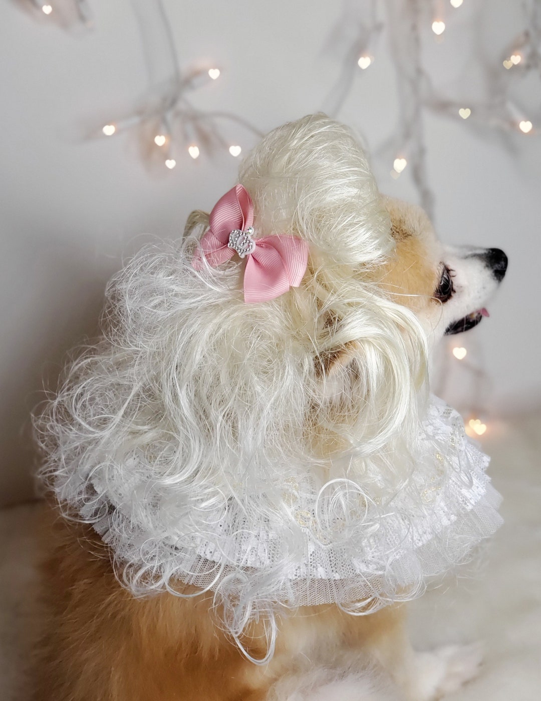 Curly Pet Wig With Bow - Handmade Costume for Dog or Cat - Etsy