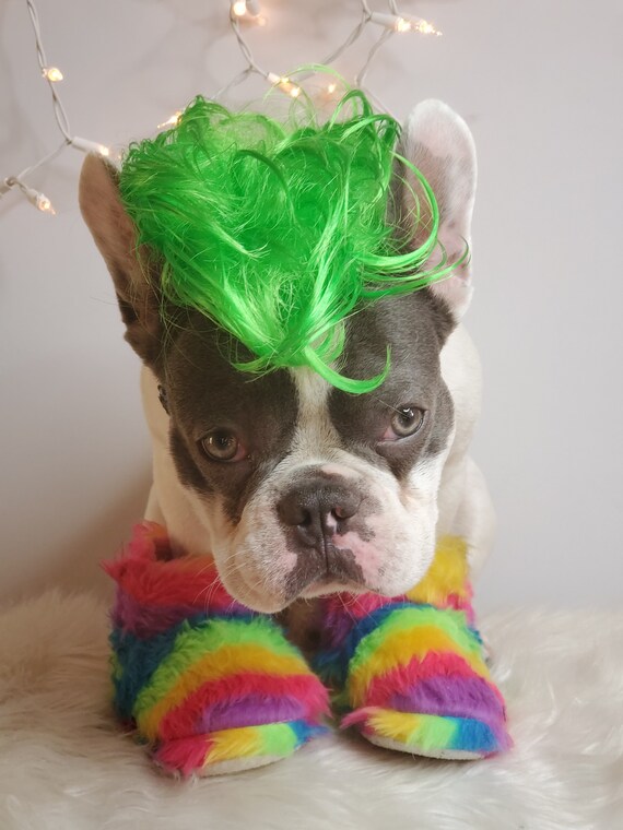 Disfraz De Perro Joker Disfraz De Batman TDK Para Perro | Funidelia