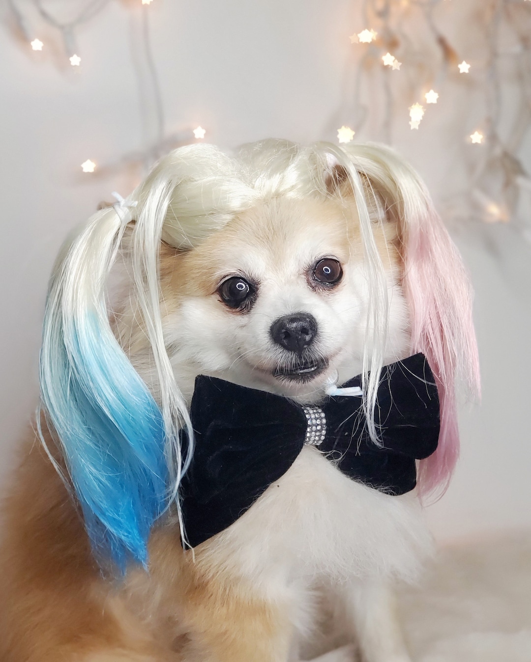 Harley Quinn Dog Wig With Pony Tails /cute Pet Wig for Dog or Cat ...