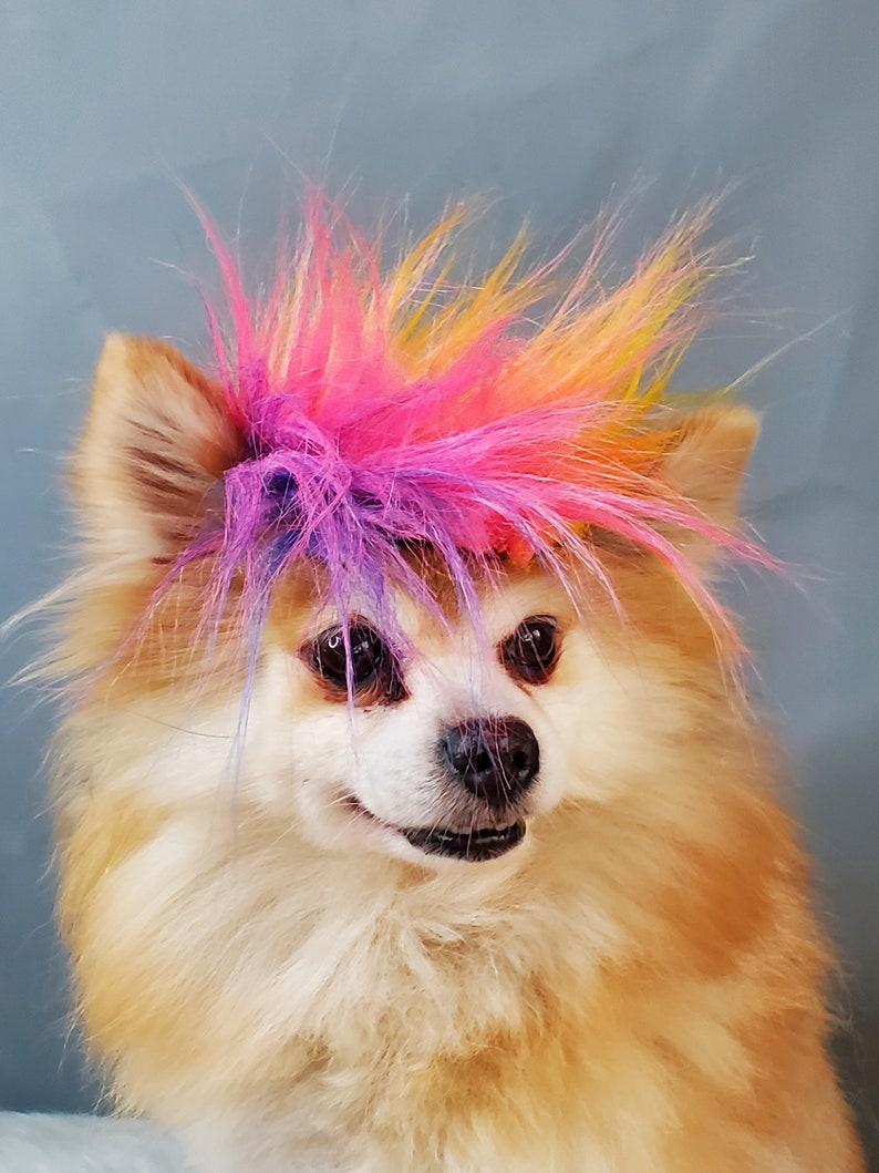 Mohawk for Your Pet / Halloween Dog Costume /cat Mohawk / - Etsy