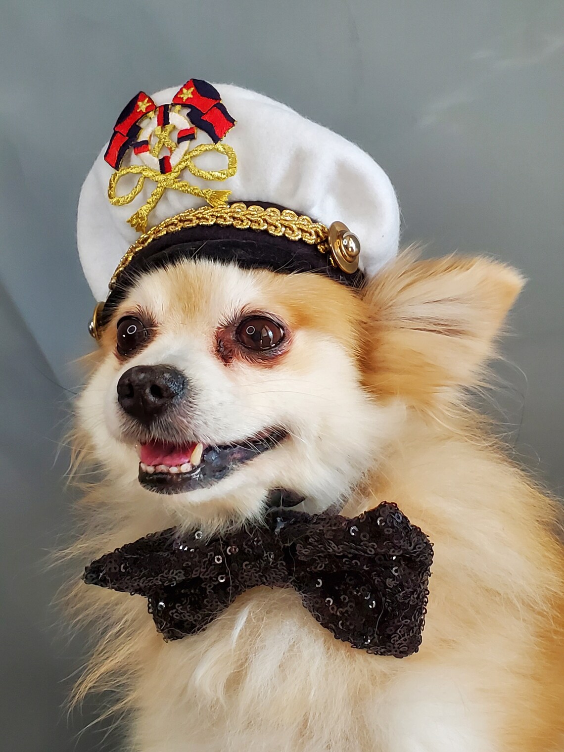 Captain Hat for Dog or Cat Small Animal Doll /halloween Pet | Etsy