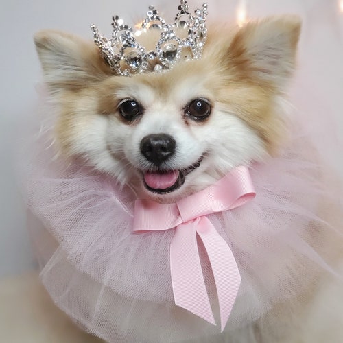 Gold Color Crown for Dog or Cat /princess Dog Crown / Crown - Etsy
