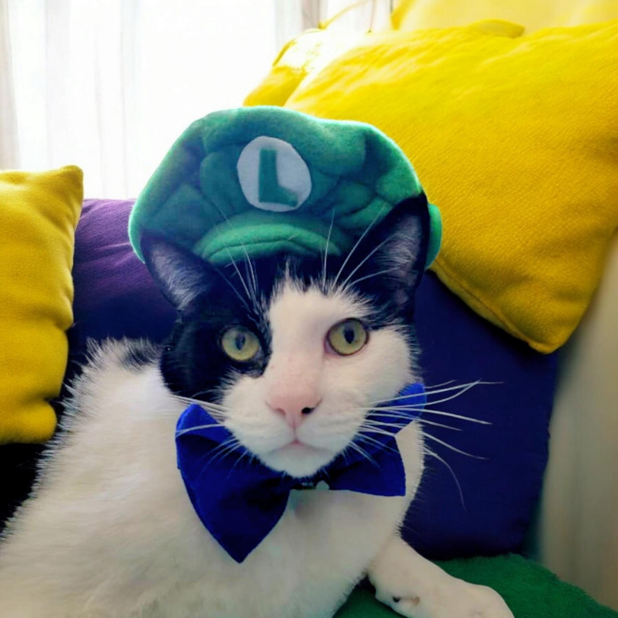 Mario Luigi Wario Waluigi Cat Hat, Adjustable Costume - Etsy
