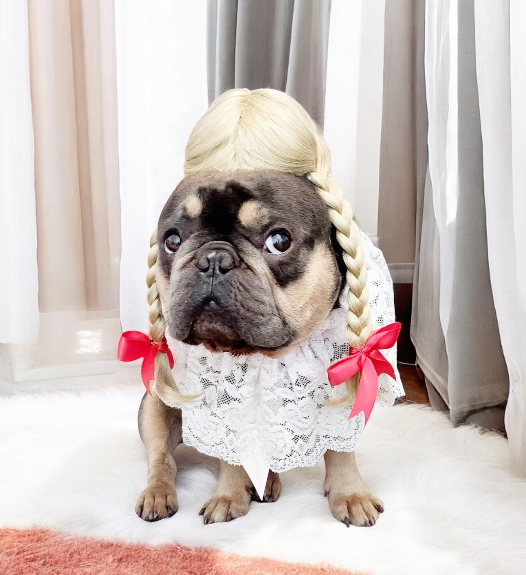 Braided Pet Wig With Red Bows, Dog or Cat Halloween Costume - Etsy