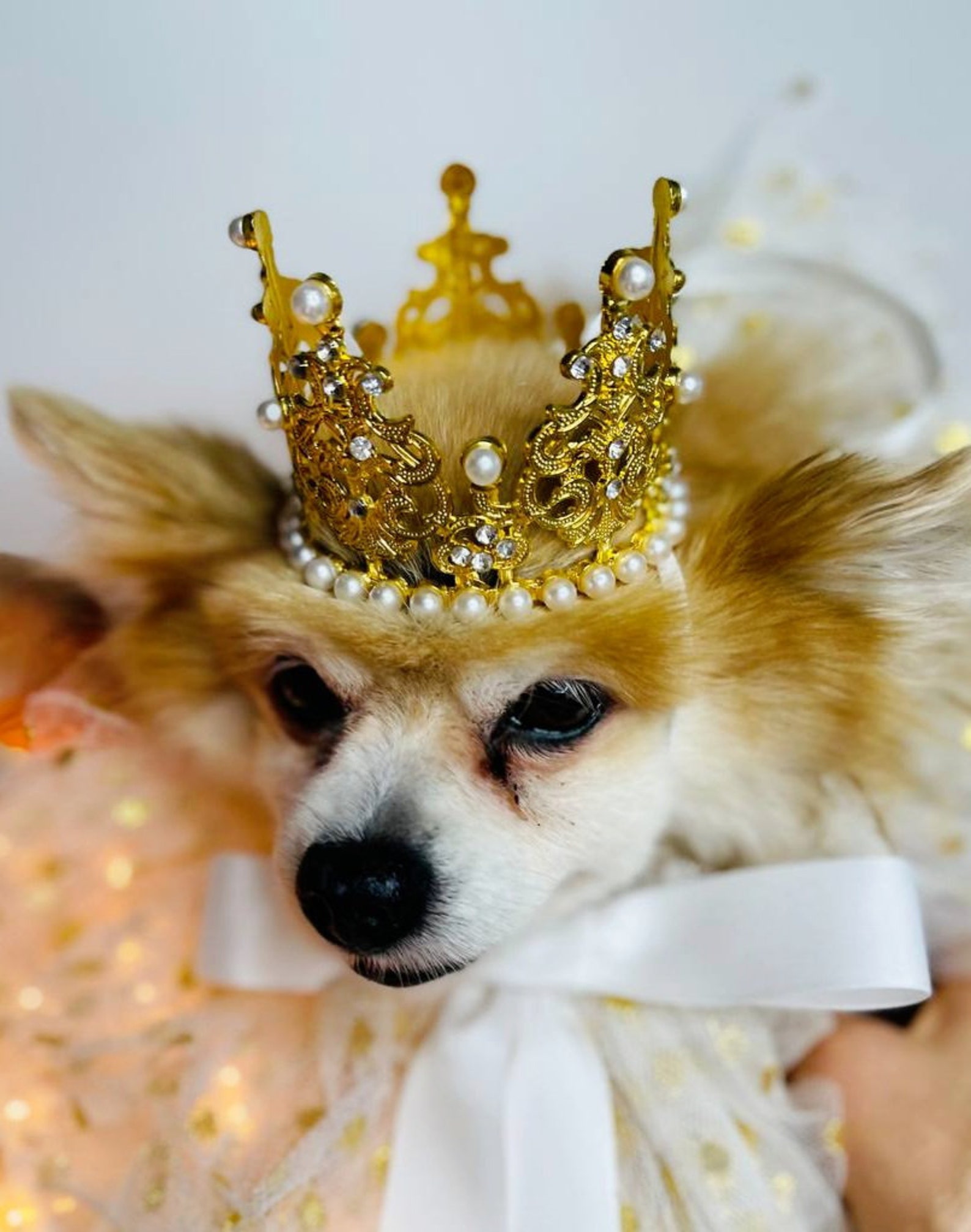 Set Listing Crown With Collar Tie for Dog or Cat /princess Set/ - Etsy