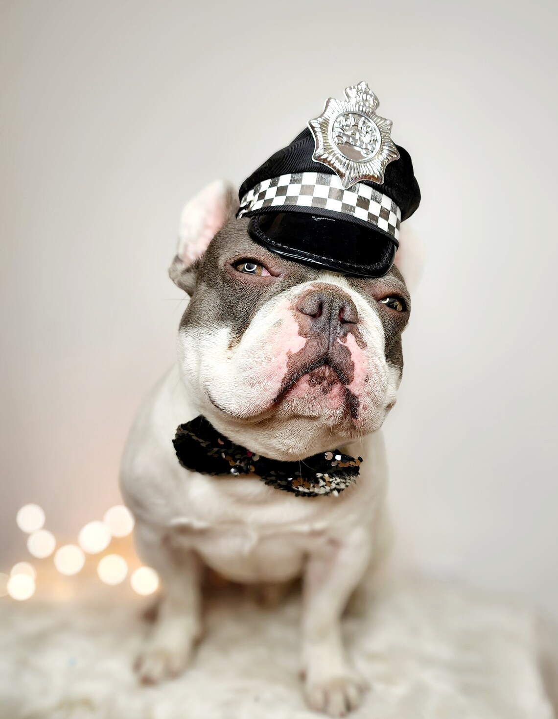 Captain Hat for Dog or Cat Small Animal Doll /halloween Pet Hat ...