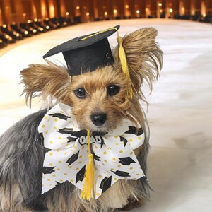 Graduation Pet Hat for Cat or Dog, Adjustable Elastic, XS/S - Etsy