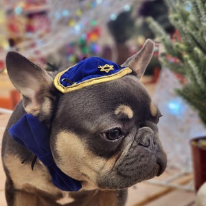 DOG KIPPAH Hanukkah Hat and Bow Set for Dog or Cat/hanukkah Dog Gift ...
