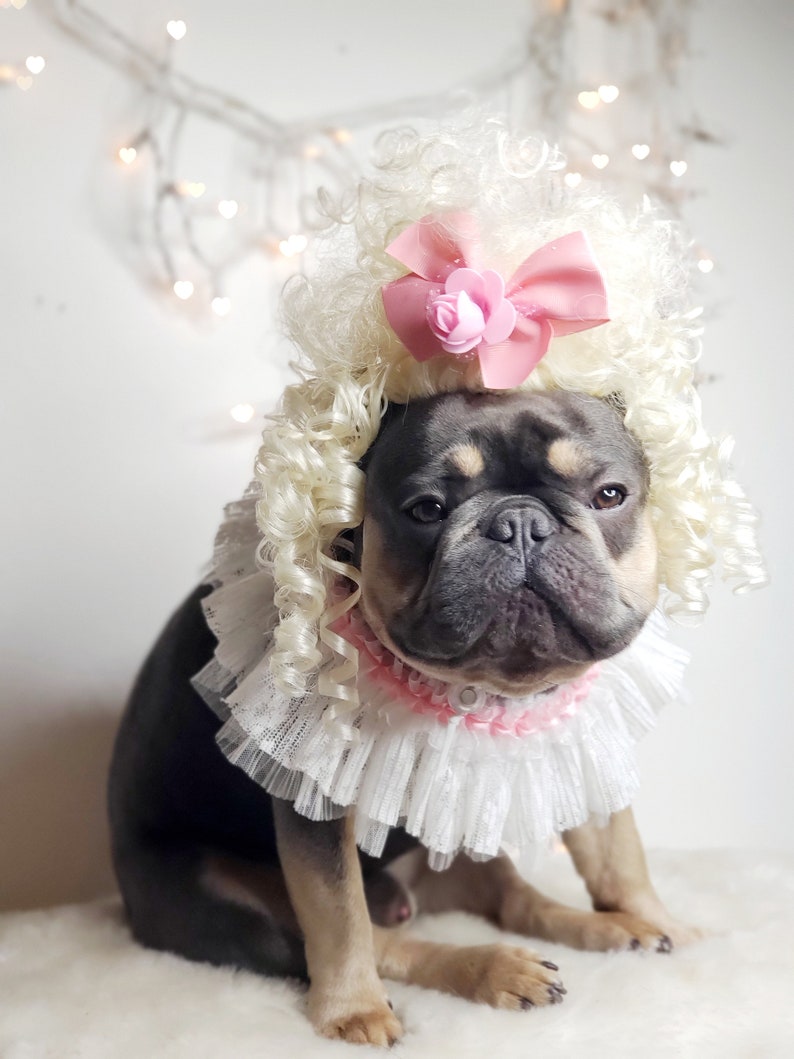 Marie Antoinette Pet Wig, Blond Costume Wig for Dogs - Etsy