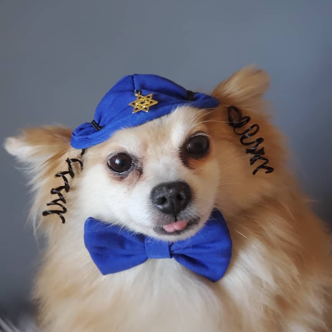 DOG KIPPAH Hanukkah Hat and Bow Set for Dog or Cat /hanukkah Pet Gift ...